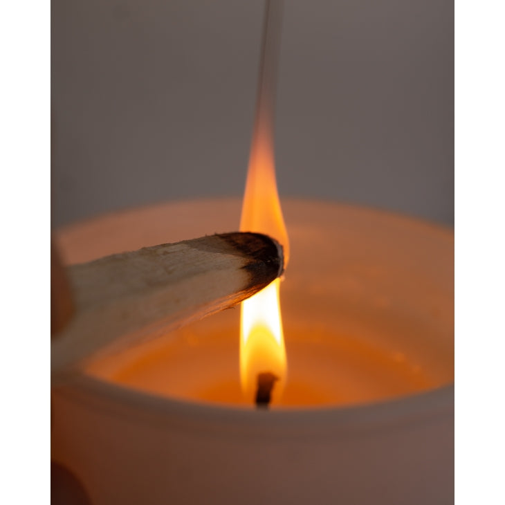 Palo Santo Intention Bundle – Shop Angelina